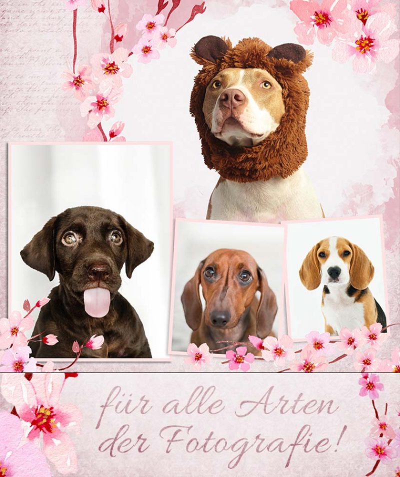 Collage Bloom - 5 Vorlagen • Taydoo